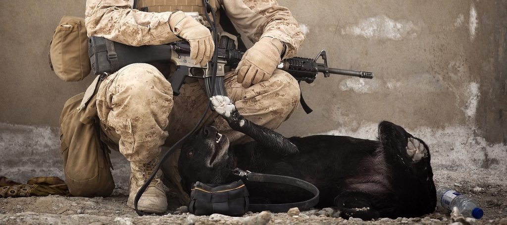 Cars for Vets | Charity Cars For Veterans | Veteran Car Donations